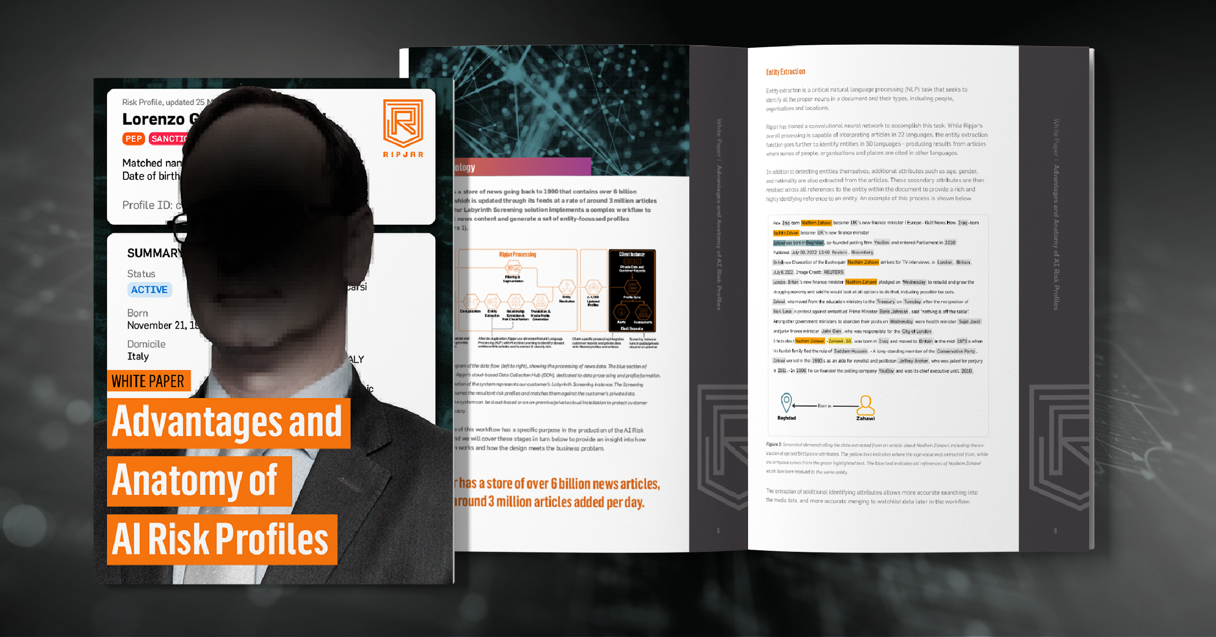 Advantages and Anatomy of Ripjar AI Risk Profiles - Ripjar